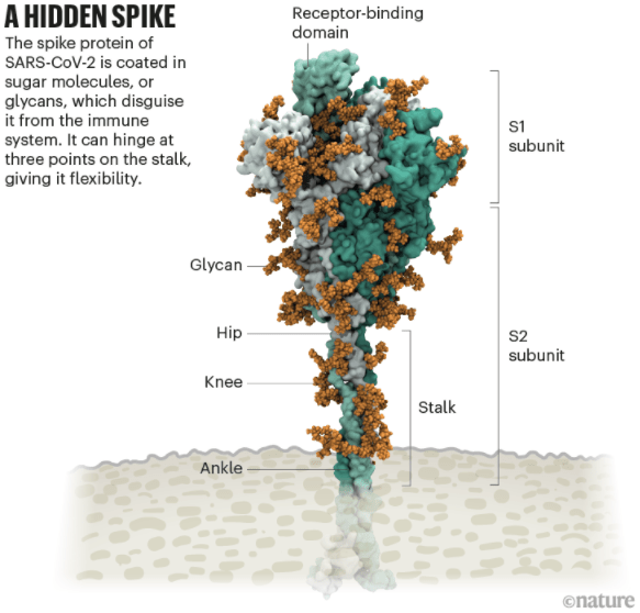 The Anatomy of Delta… – Physics and Nano