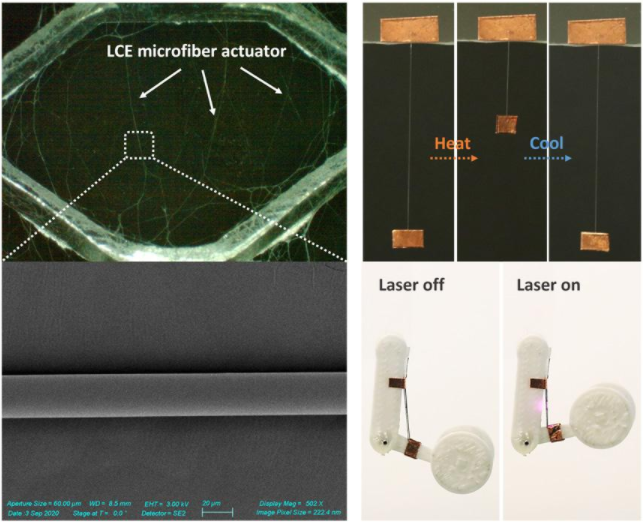 LCE… – Physics and Nano