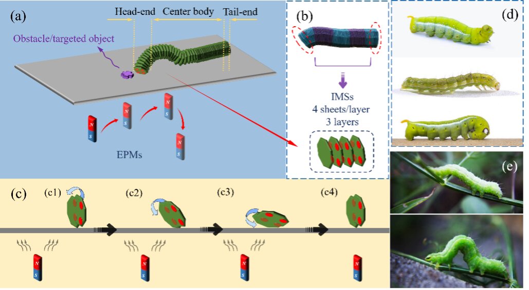 As The Worm Turns… – Physics and Nano